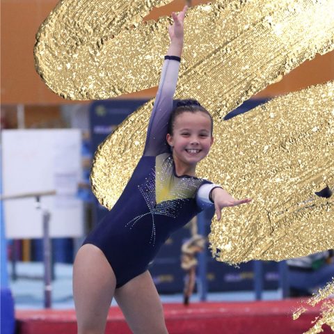 BTYC Gymnastics Home - BTYC Gymnastics